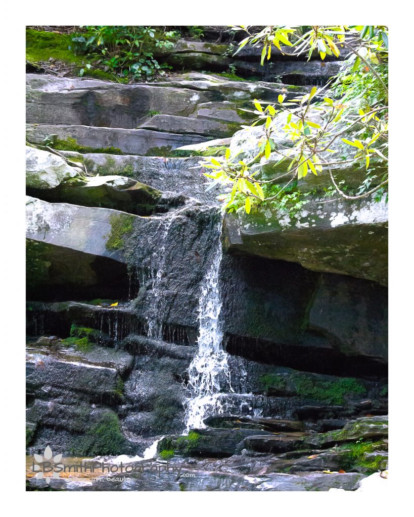 hidden falls - L.B. Smith Photography